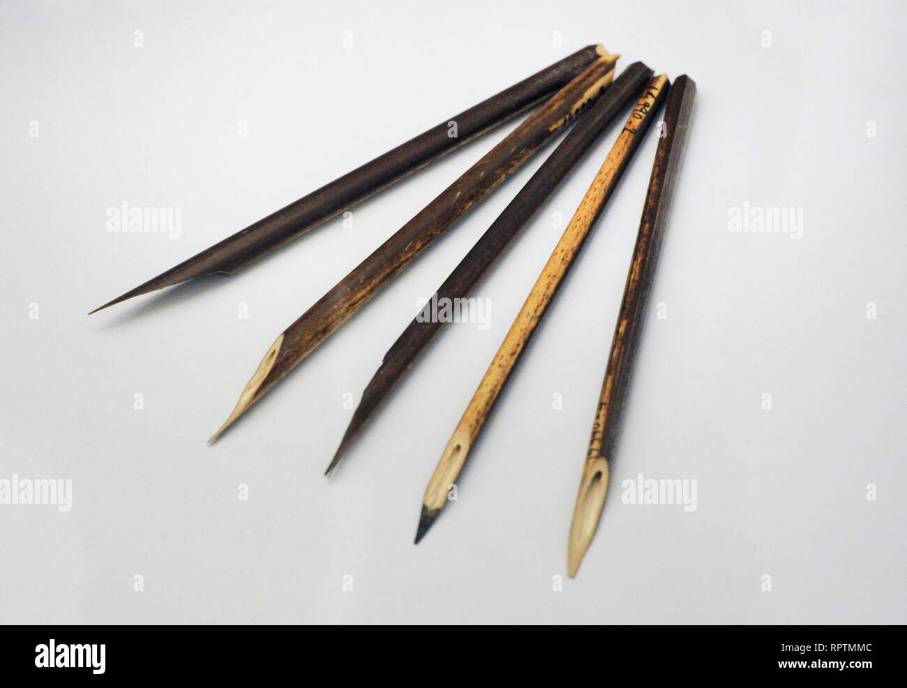 Writing reeds hi-res stock photography and images - Alamy