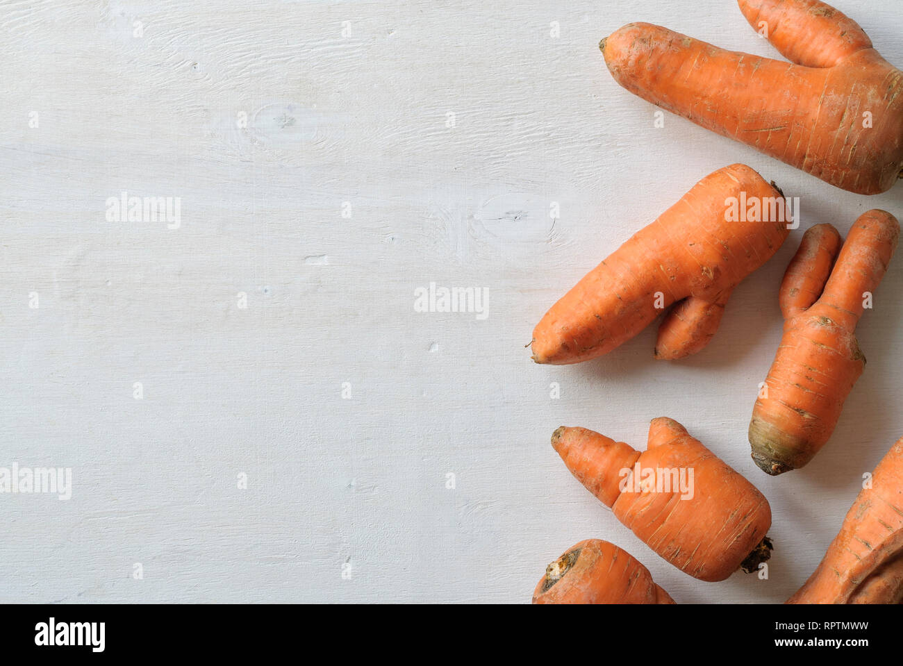 Imperfect carrots with ugly shapes on white background with copy space ...