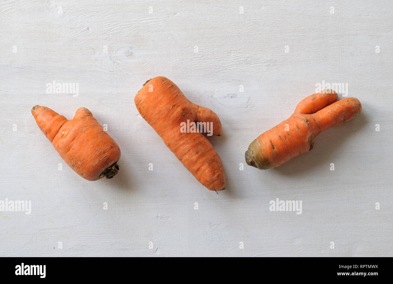 Carrots of different imperfect shapes. Ugly vegetables concept on white ...