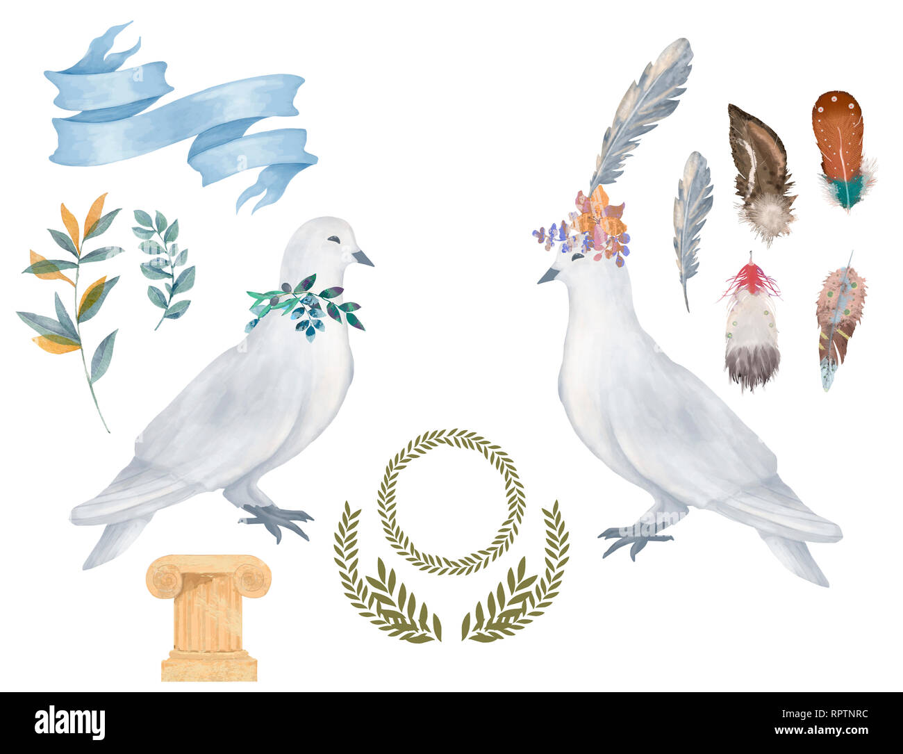 Pigeon clip art digital drawing watercolor bird fly flowers ...