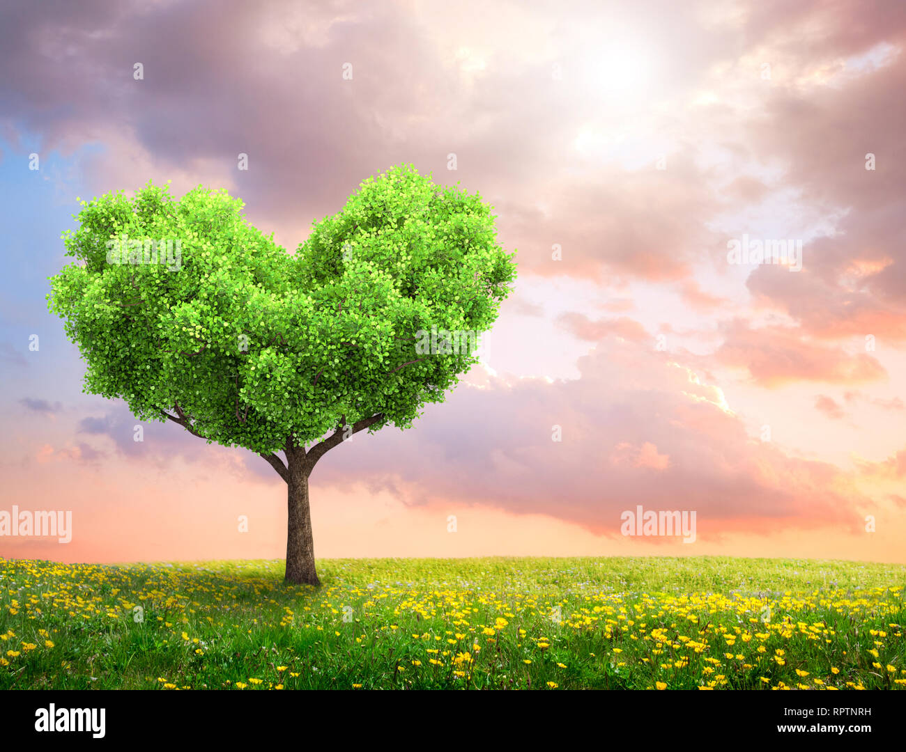 Heart Shaped Tree Wallpaper