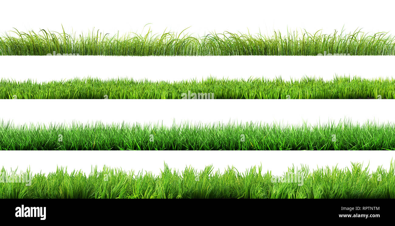 grass isolated set Stock Photo - Alamy