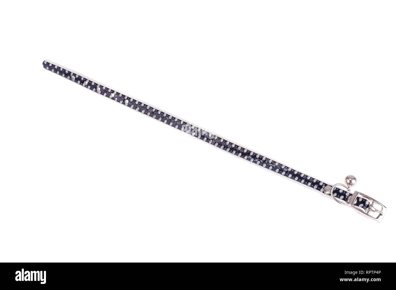 Black cat red collar Cut Out Stock Images & Pictures - Alamy