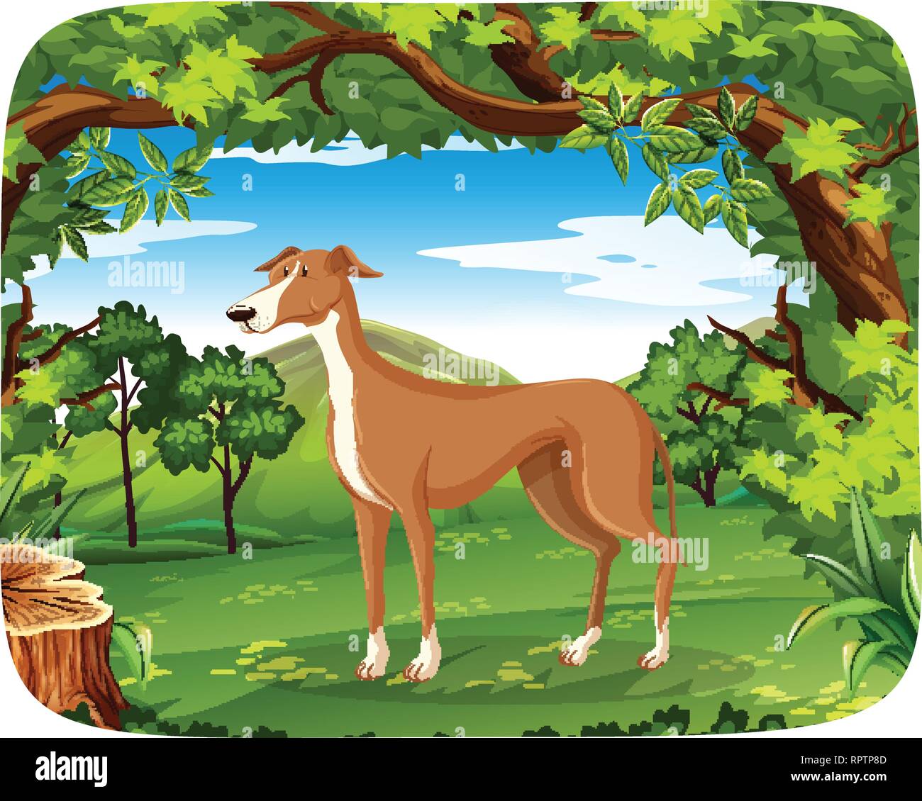 Dog in nature scene illustration Stock Vector Image & Art - Alamy