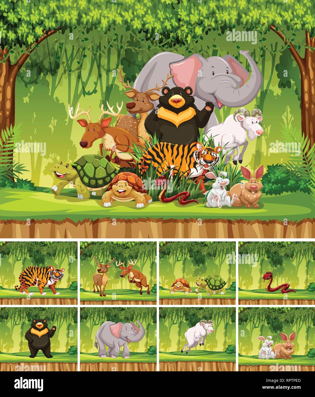 Group of wild animal in jungle illustration Stock Vector Image & Art ...