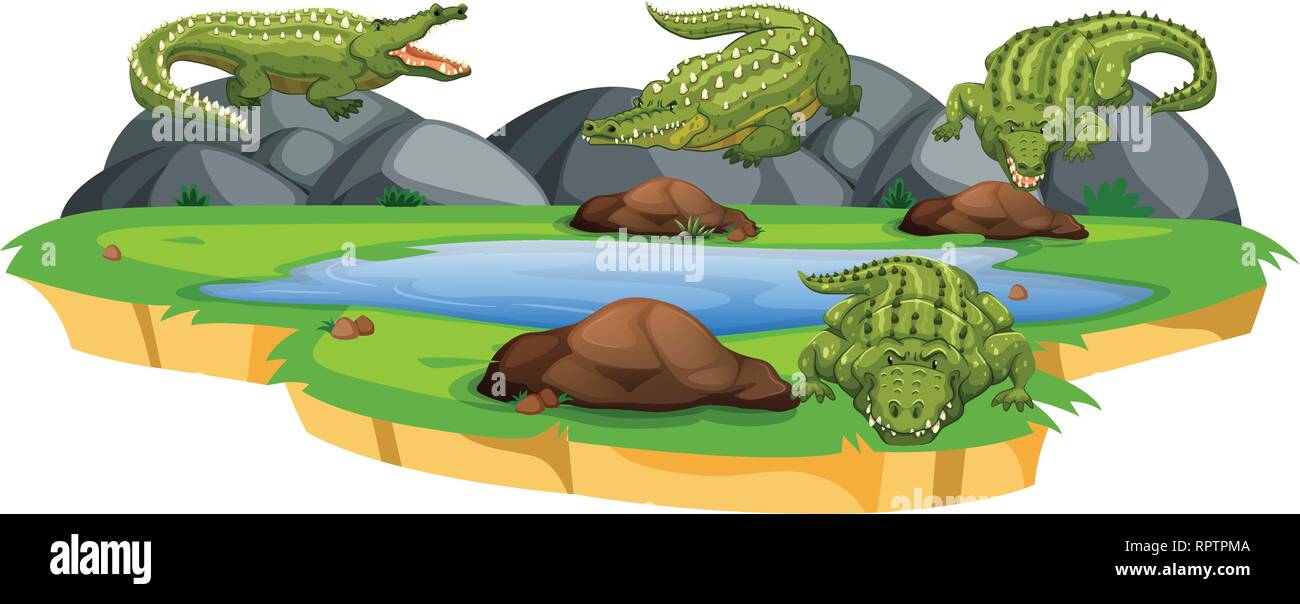 Cute Alligator In Water Clipart 3,700+ Crocodile In Water Stock
