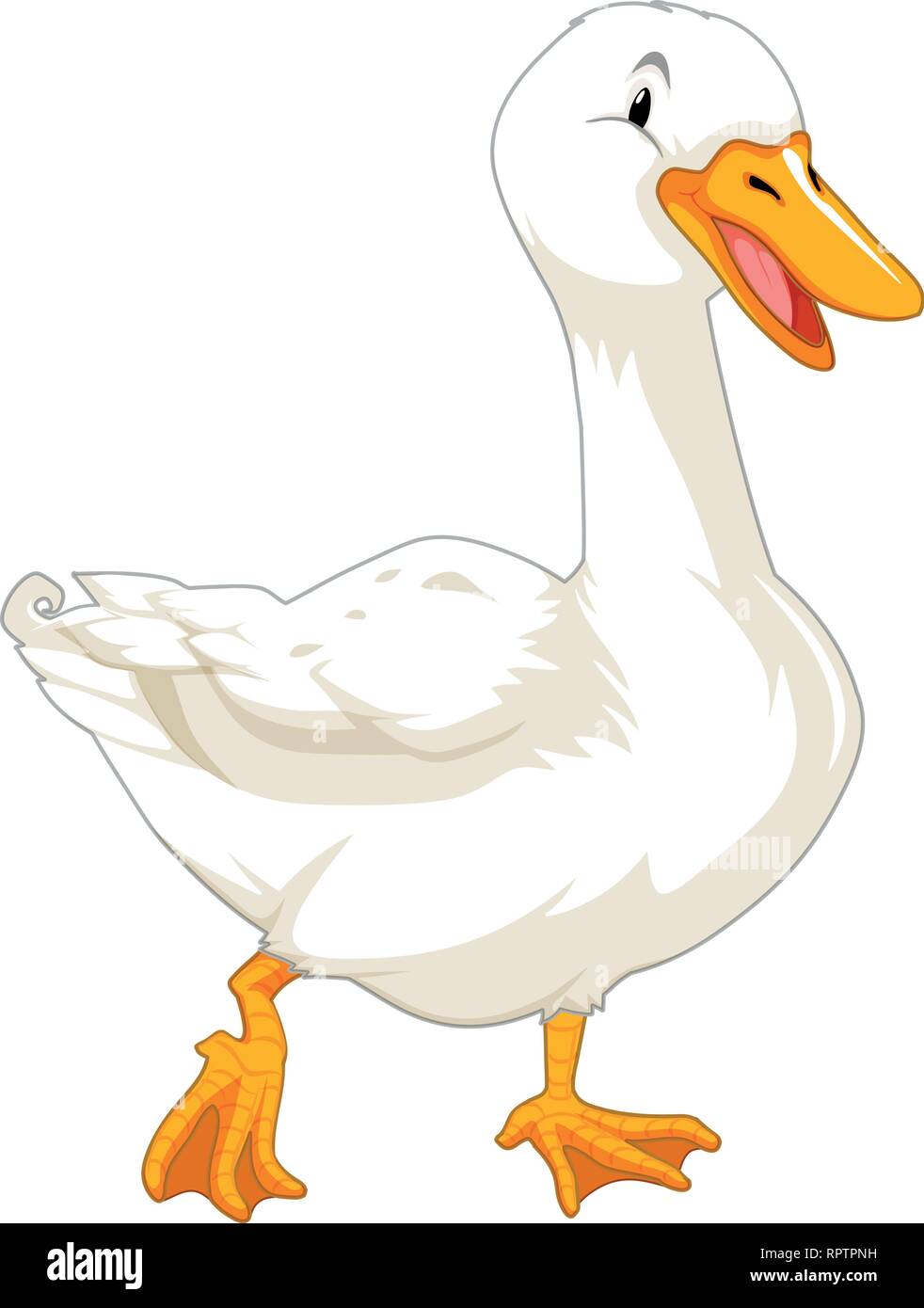 Goose on white background illustration Stock Vector Image & Art - Alamy