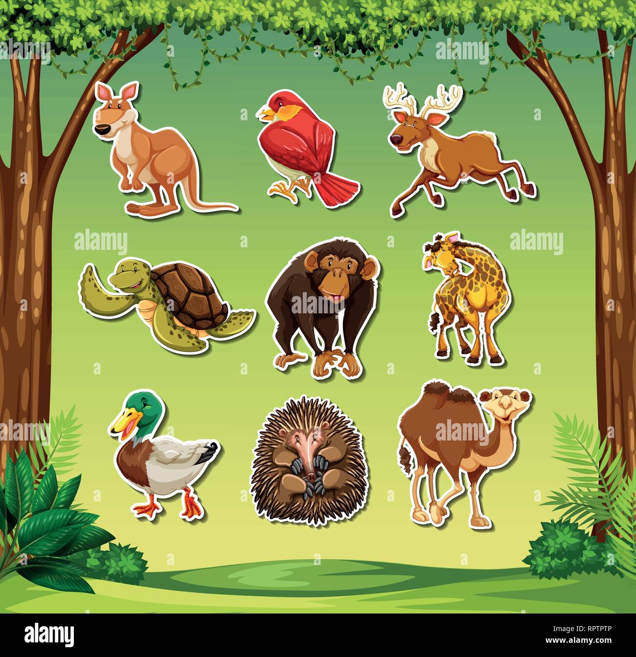 Set of wild animal sticker illustration Stock Vector Image & Art - Alamy