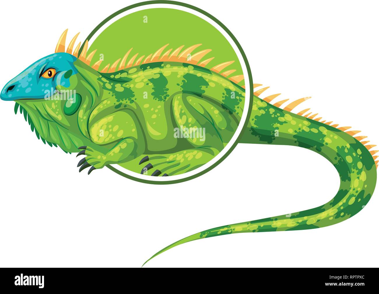 Iguanas character on sticker template illustration Stock Vector Image ...