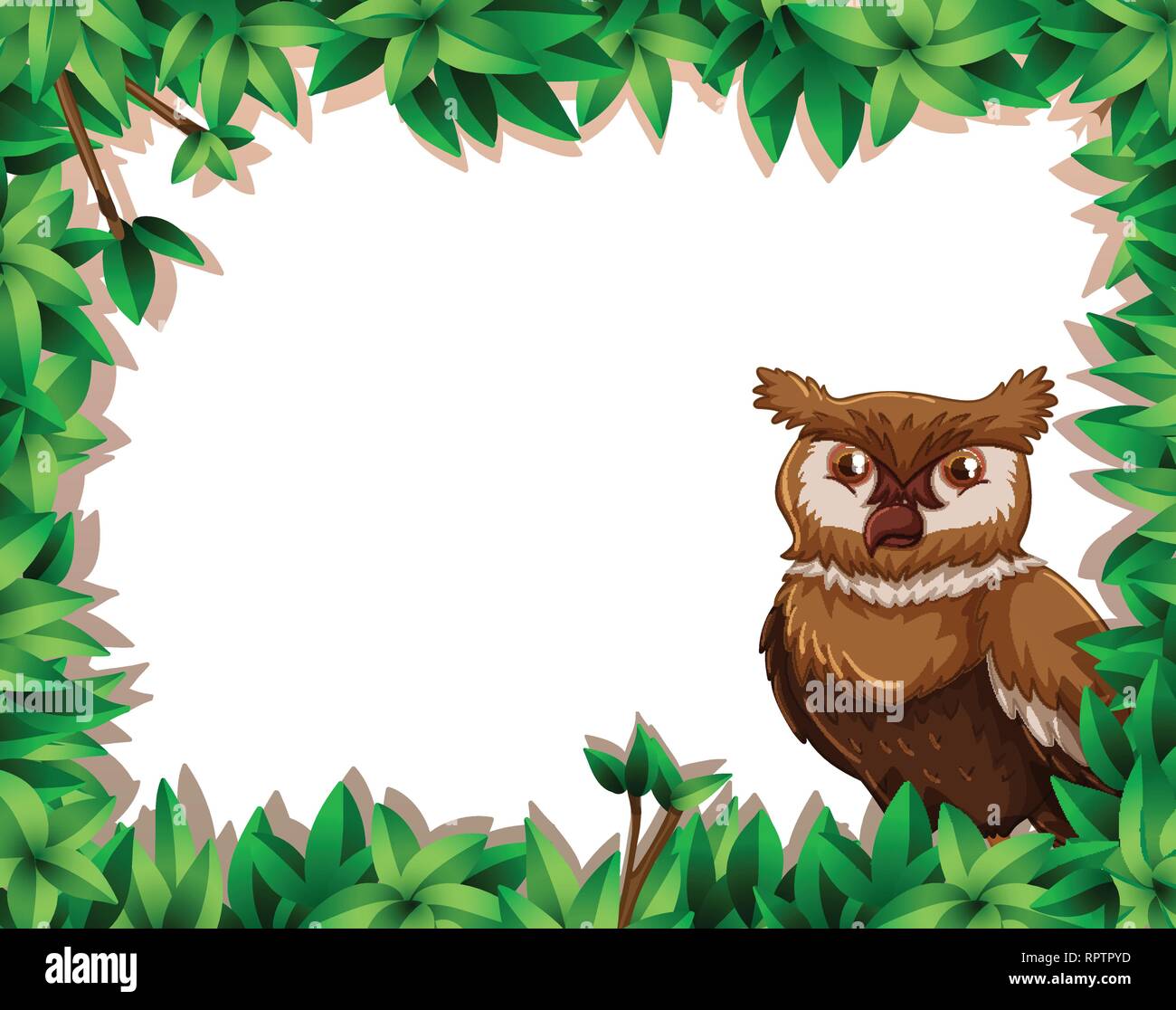 Owl on nature frame illustration Stock Vector Image & Art - Alamy