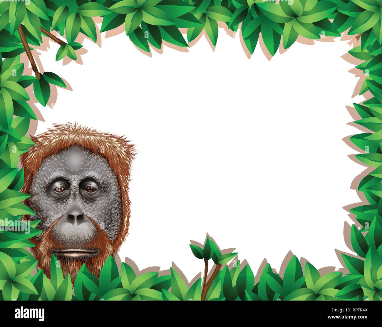 Monkey Frame Stock Vector Images - Alamy