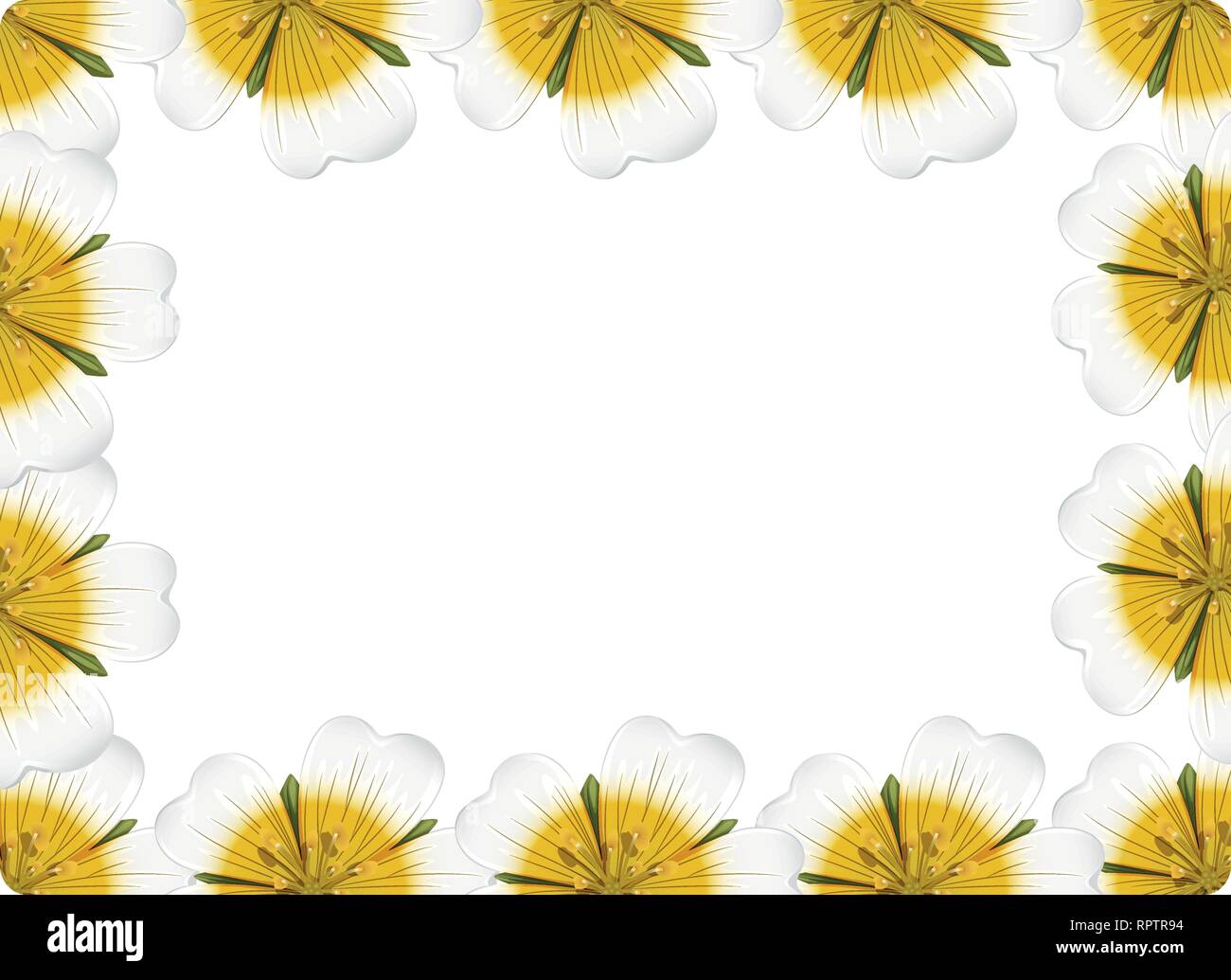 Yellow flower nature frame illustration Stock Vector Image & Art - Alamy