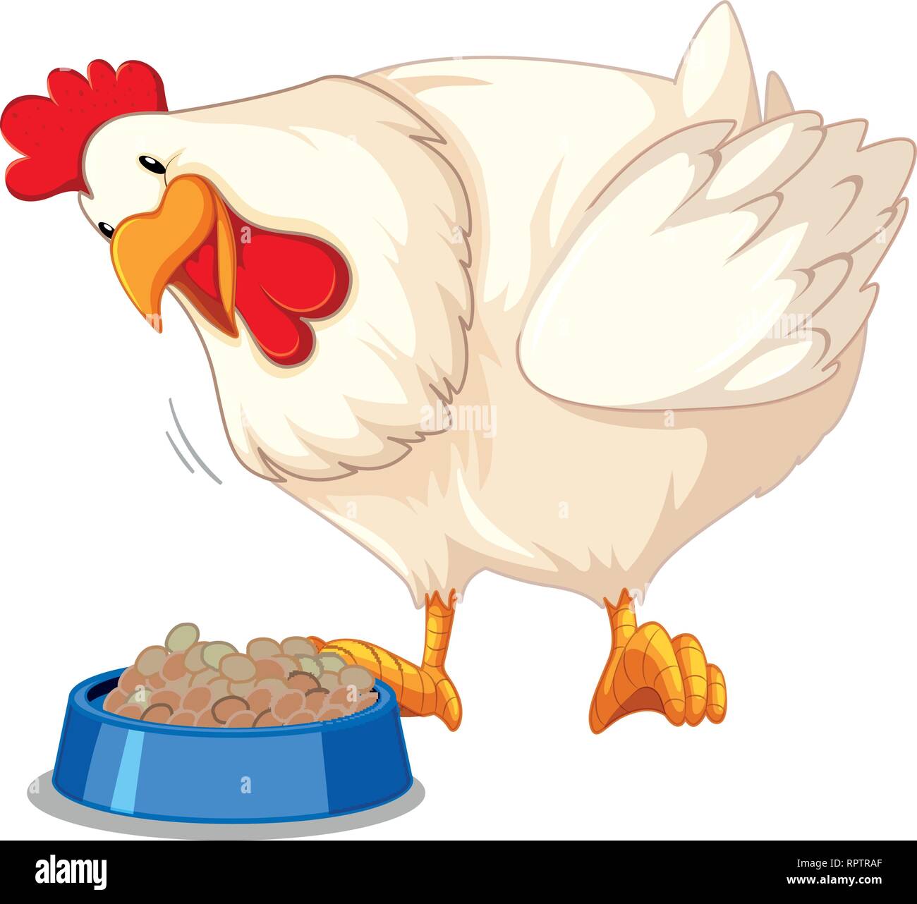 A chicken eating food illustration Stock Vector Image & Art - Alamy