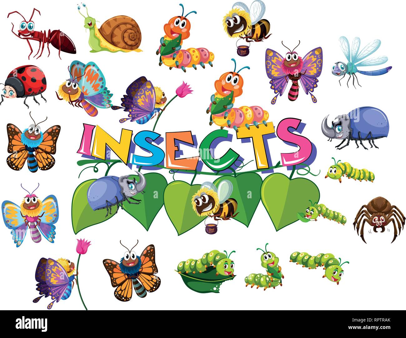 Large insect pack set illustration Stock Vector Image & Art - Alamy