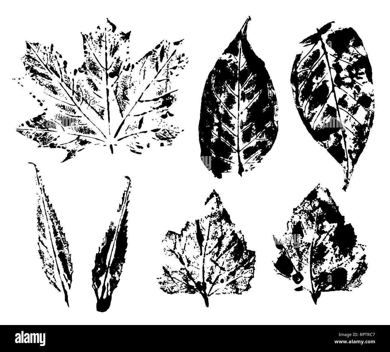 Leaves imprints set isolated on white background. Vector illustration ...