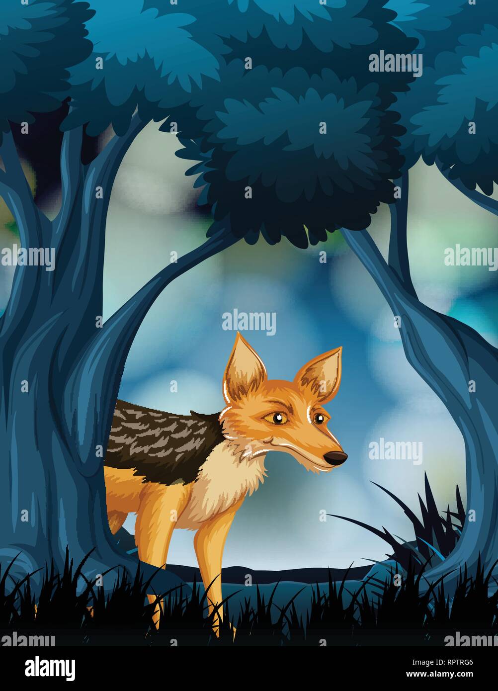Fox in dark nature scene illustration Stock Vector Image & Art - Alamy