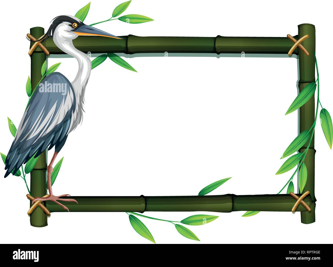 Bird in nature frame illustration Stock Vector Image & Art - Alamy