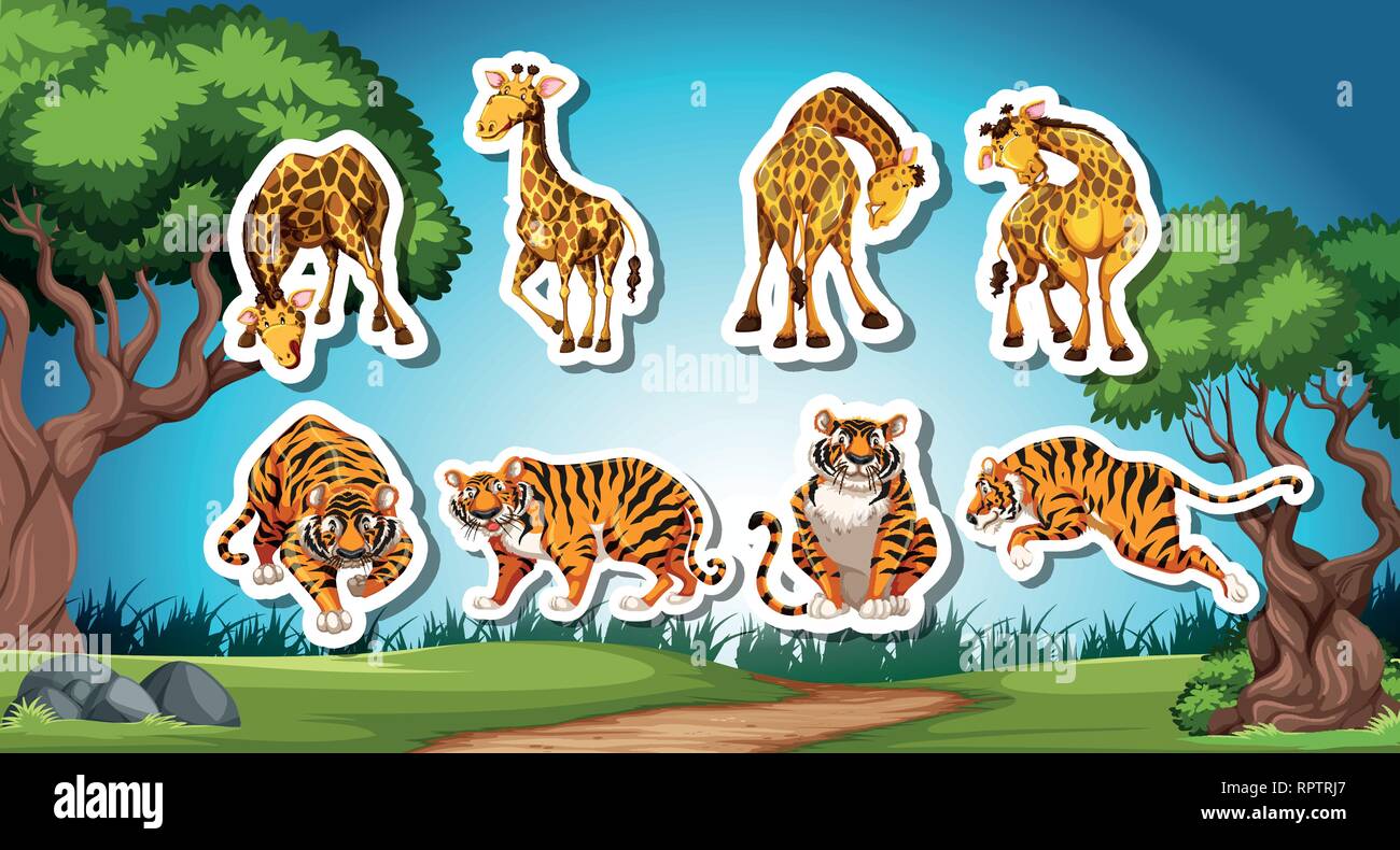 Set of giraffe and tiger sticker illustration Stock Vector Image & Art ...