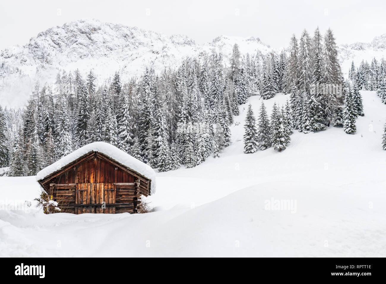 While it snows. Along the streets of the ancient village of Sappada ...