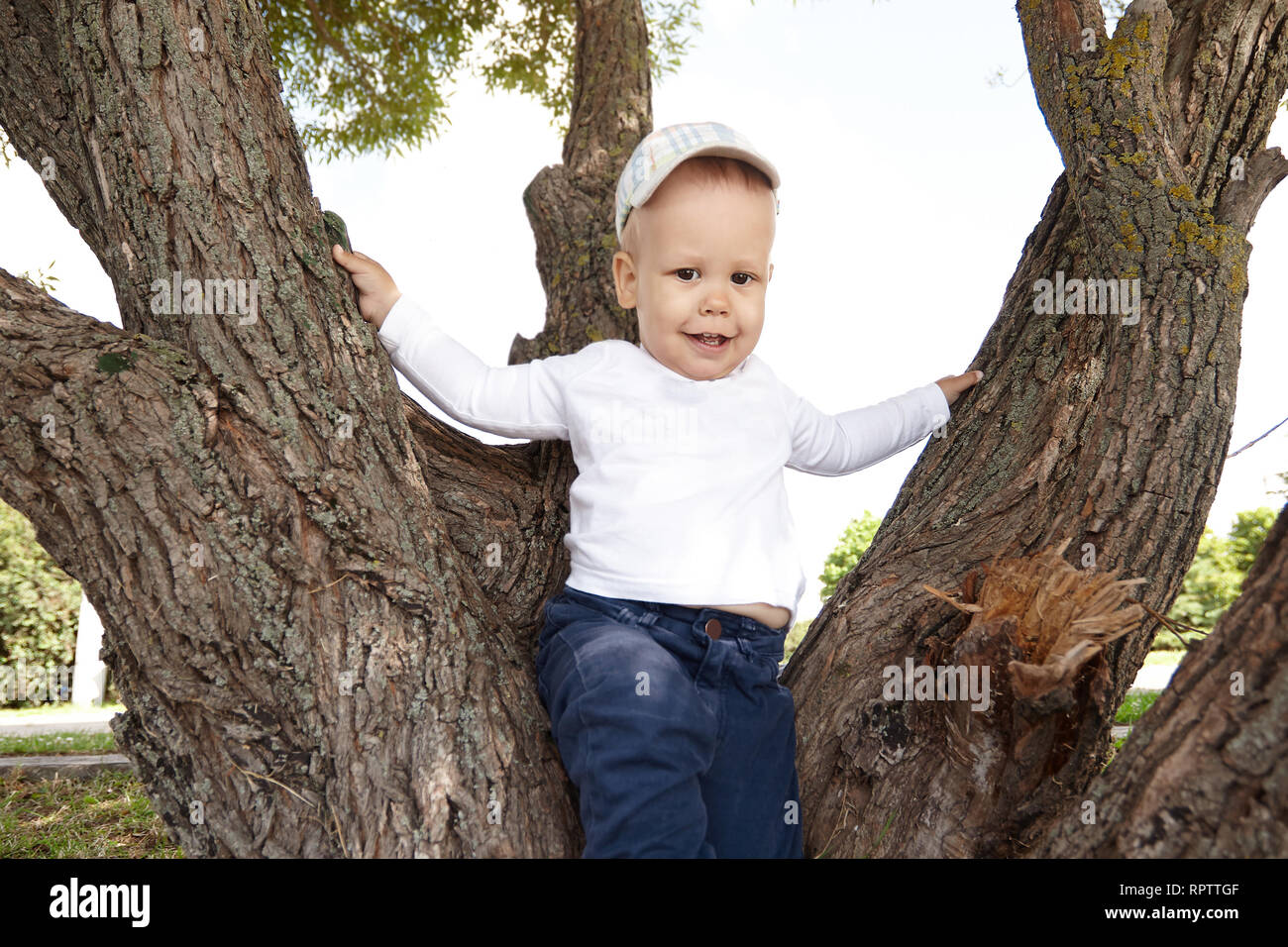 little boy standing among the branches of a big tree Stock Photo - Alamy