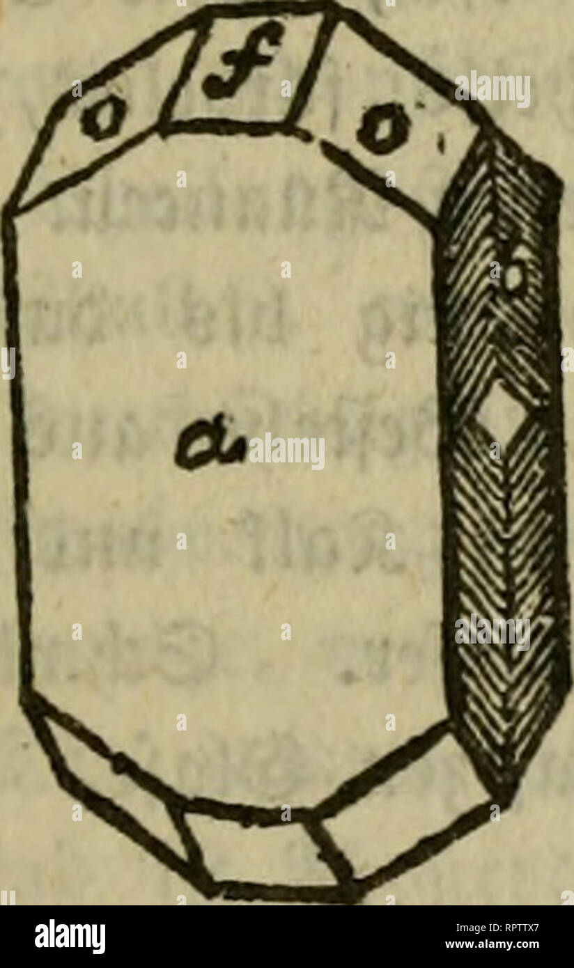 . Allgemeine Naturgeschichte für alle Stände. Natural history. 173 gtfl ...