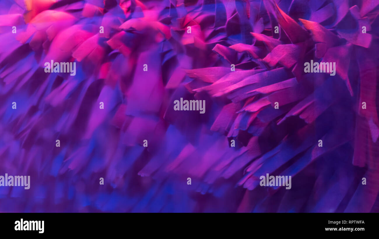 The visit to the colorful car wash Stock Photo - Alamy