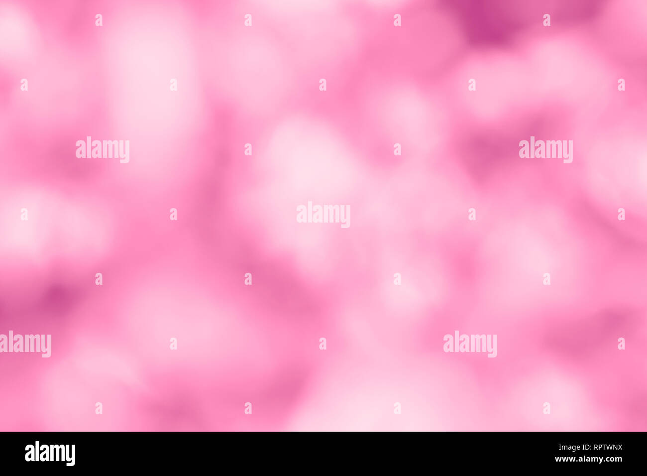 Abstract photo, blurred pastel pink in cold tone background with ...