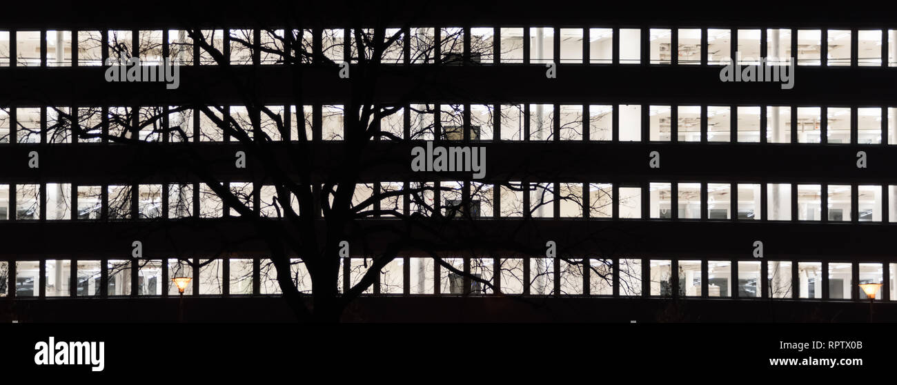 Windows and tree hi-res stock photography and images - Alamy