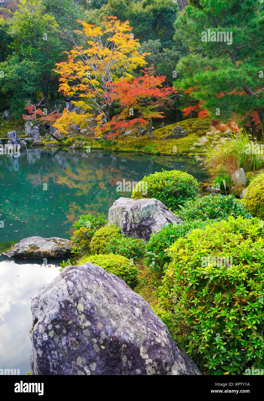 Tenryu-ji Temple garden in autumn, Kyoto Stock Photo - Alamy
