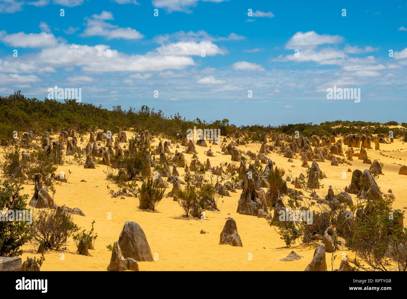 The Pinnacles Desert in Western Australia close to the Indian Ocean ...