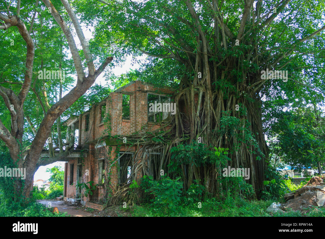 Brick building overgrown with vegetation and trees in Malacca (Melaka ...