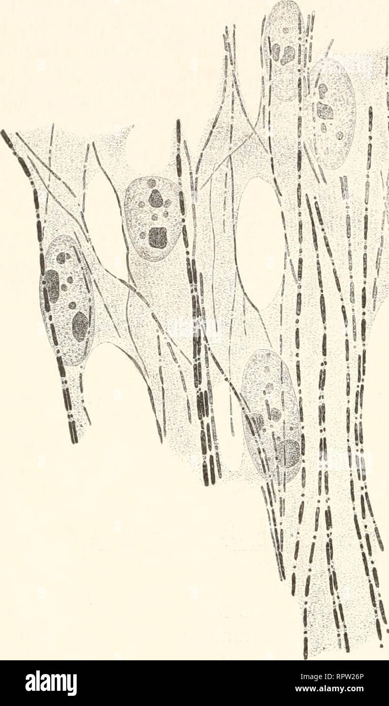 Herzwand hi-res stock photography and images - Alamy