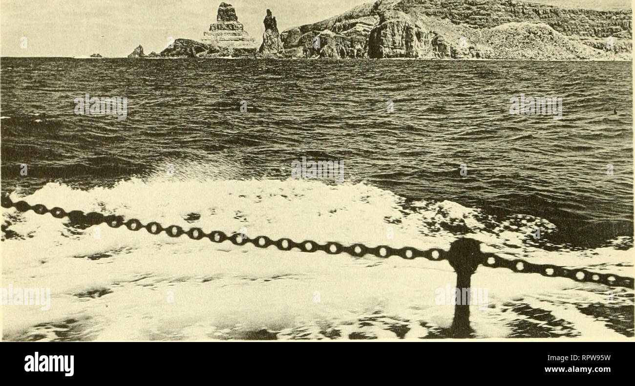 Clarion island hi-res stock photography and images - Alamy