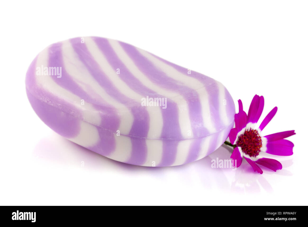 Purple and white striped flower hi-res stock photography and images - Alamy