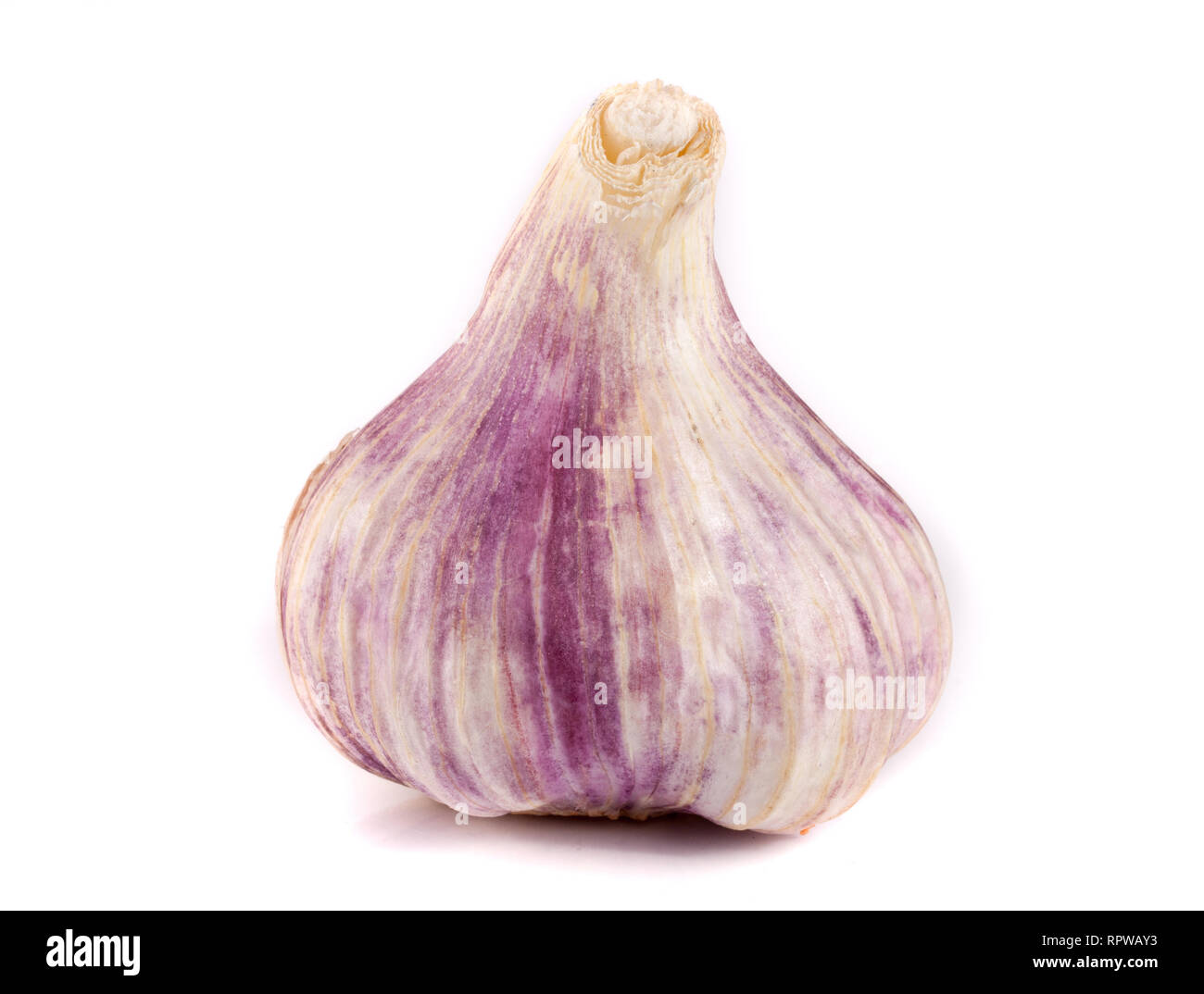One fresh garlic isolated on white background Stock Photo - Alamy