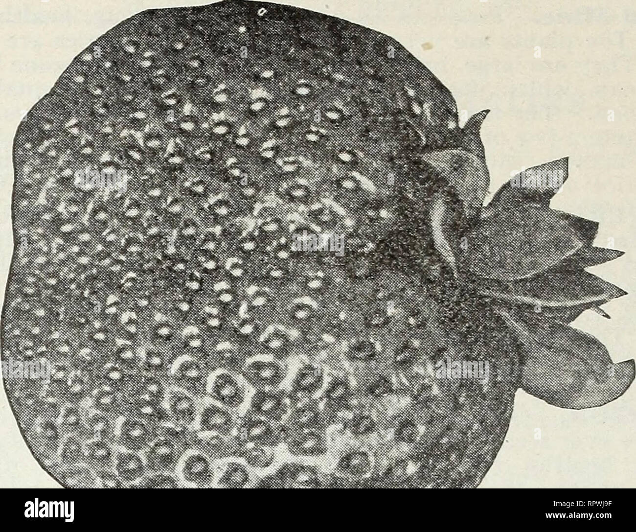 Paul moist hi-res stock photography and images - Alamy