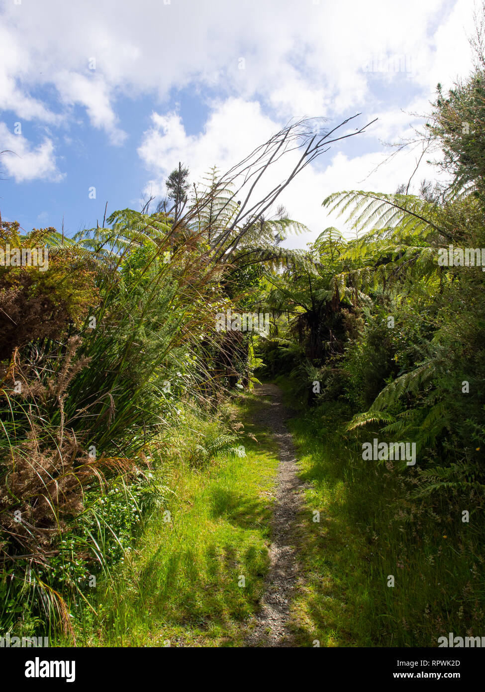 Walking track through bush hi-res stock photography and images - Alamy