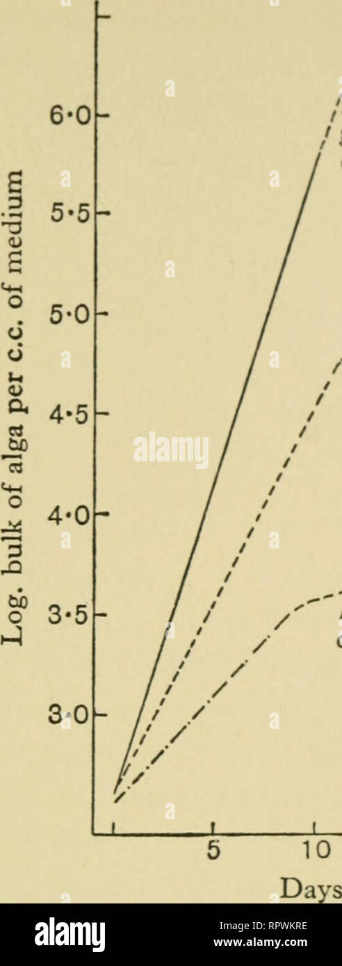 . The algae. Algae. /Mineral salts + /% / glucose-diffuse daylight y ...