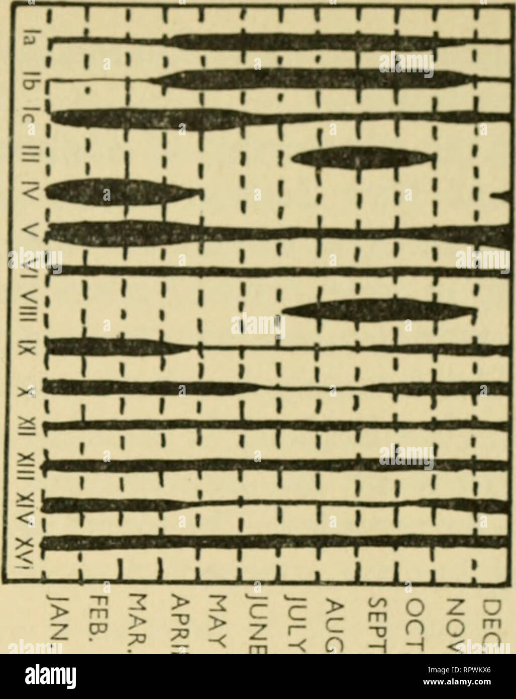 . The algae. Algae. Low Sandy Chlorophyceac Sandy Chlorophyccae Muddy ...