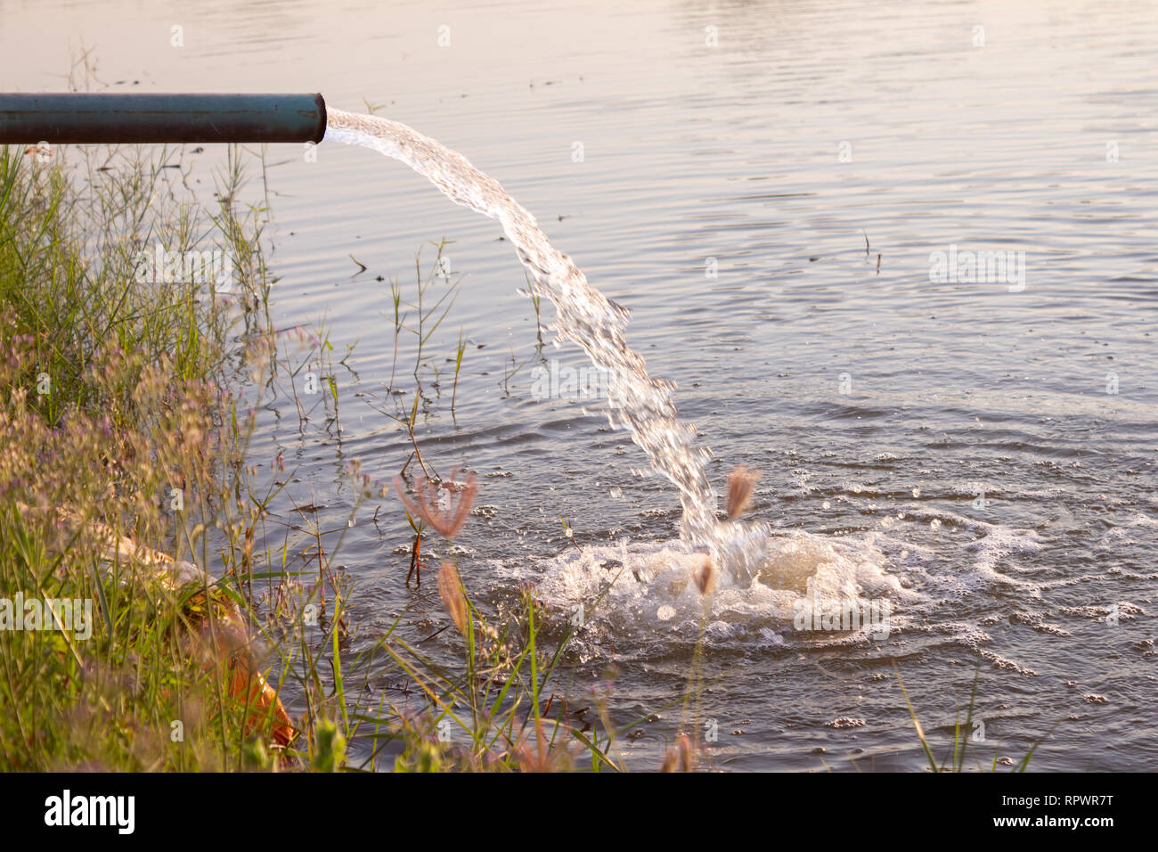 Pipe pump rush water falling in swamp Stock Photo - Alamy