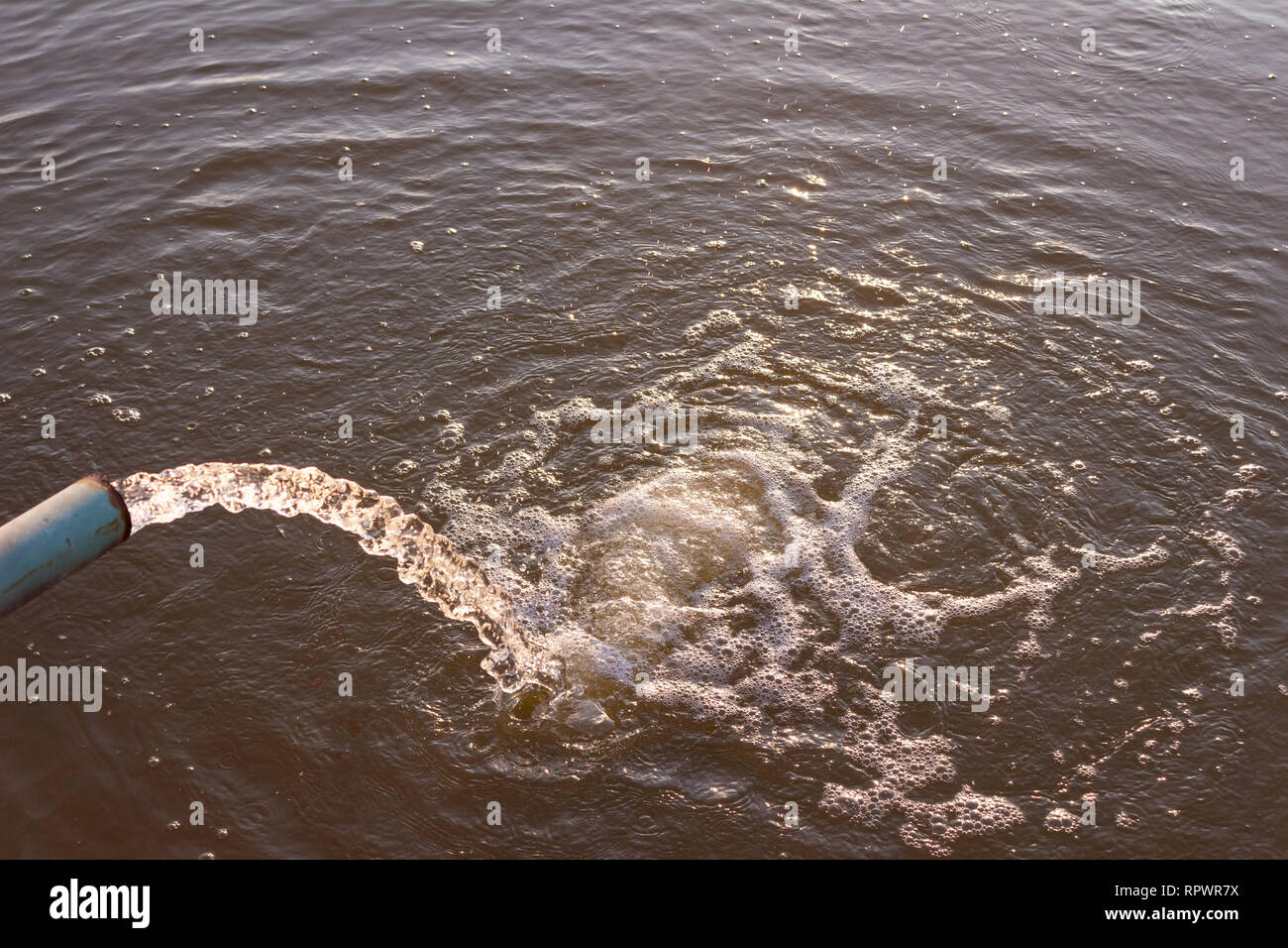 Flowing water in swamp hi-res stock photography and images - Alamy