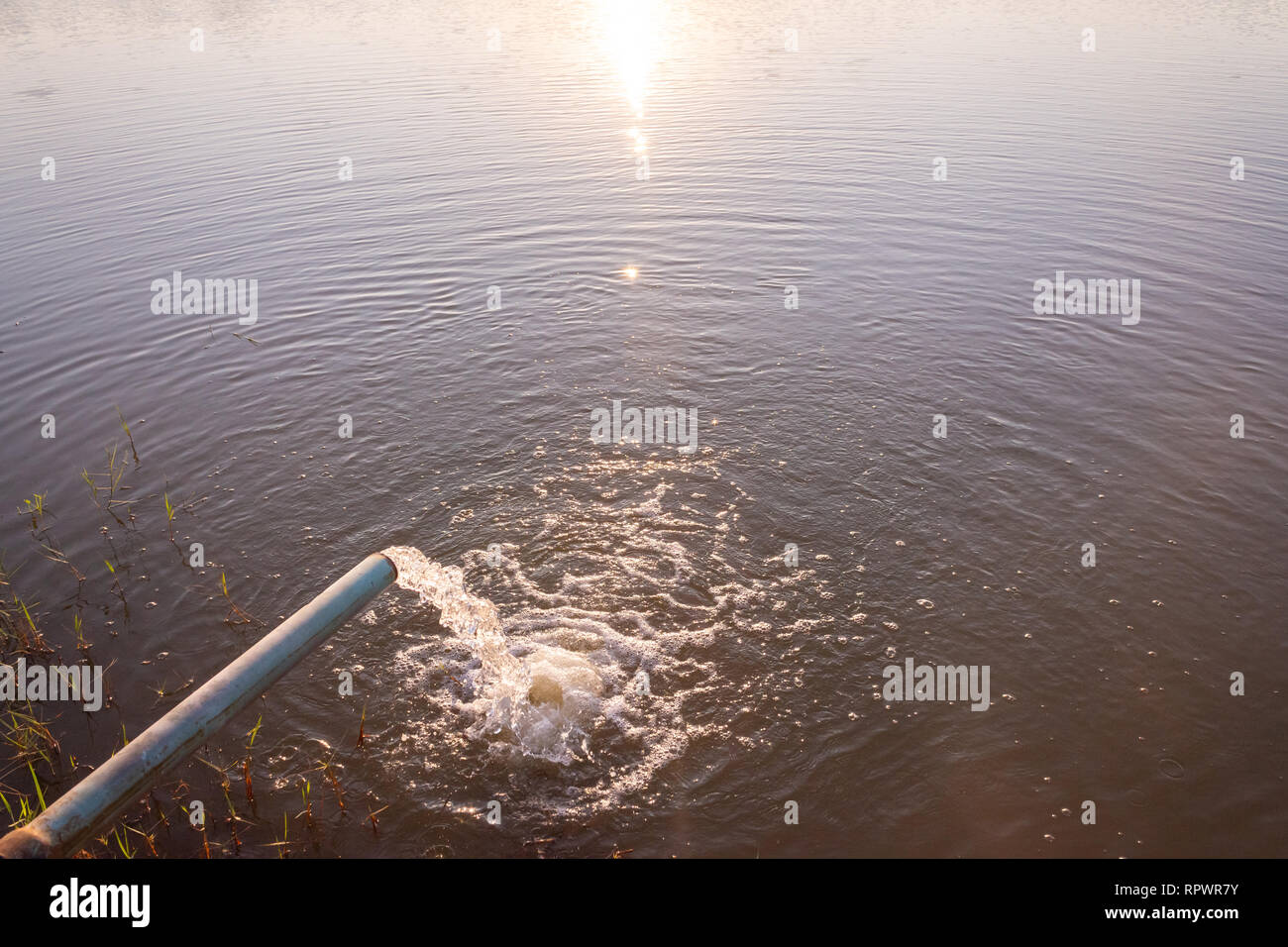 Pipe pump rush water falling in swamp Stock Photo - Alamy