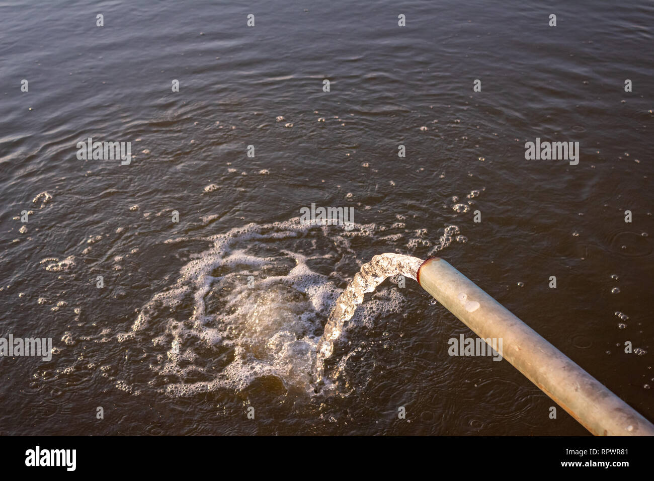 Swamp pipe hi-res stock photography and images - Alamy