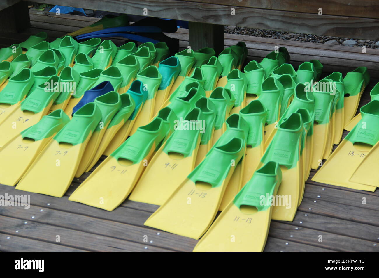 Flippers at community beach swim Stock Photo - Alamy