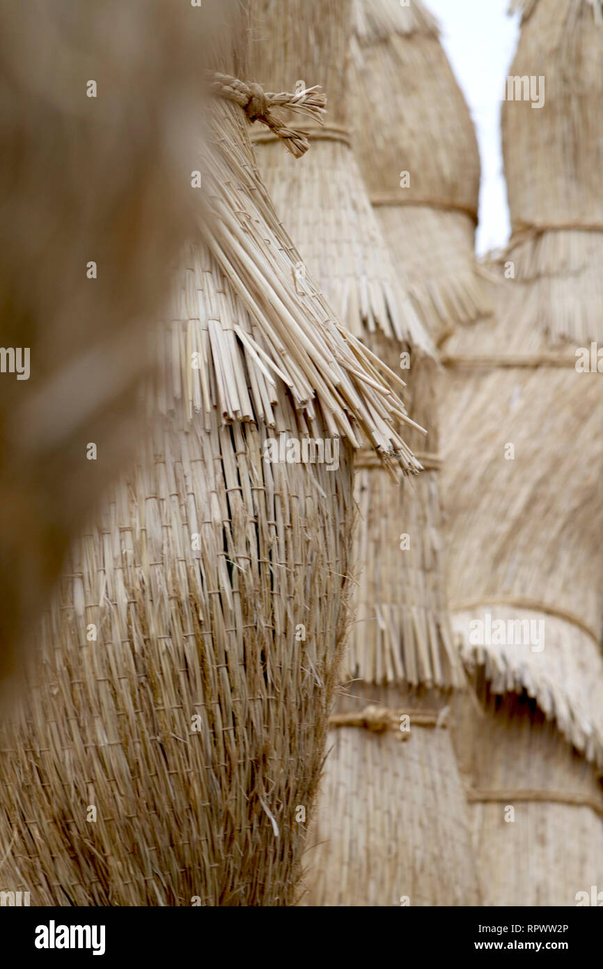 Straw insects hi-res stock photography and images - Alamy