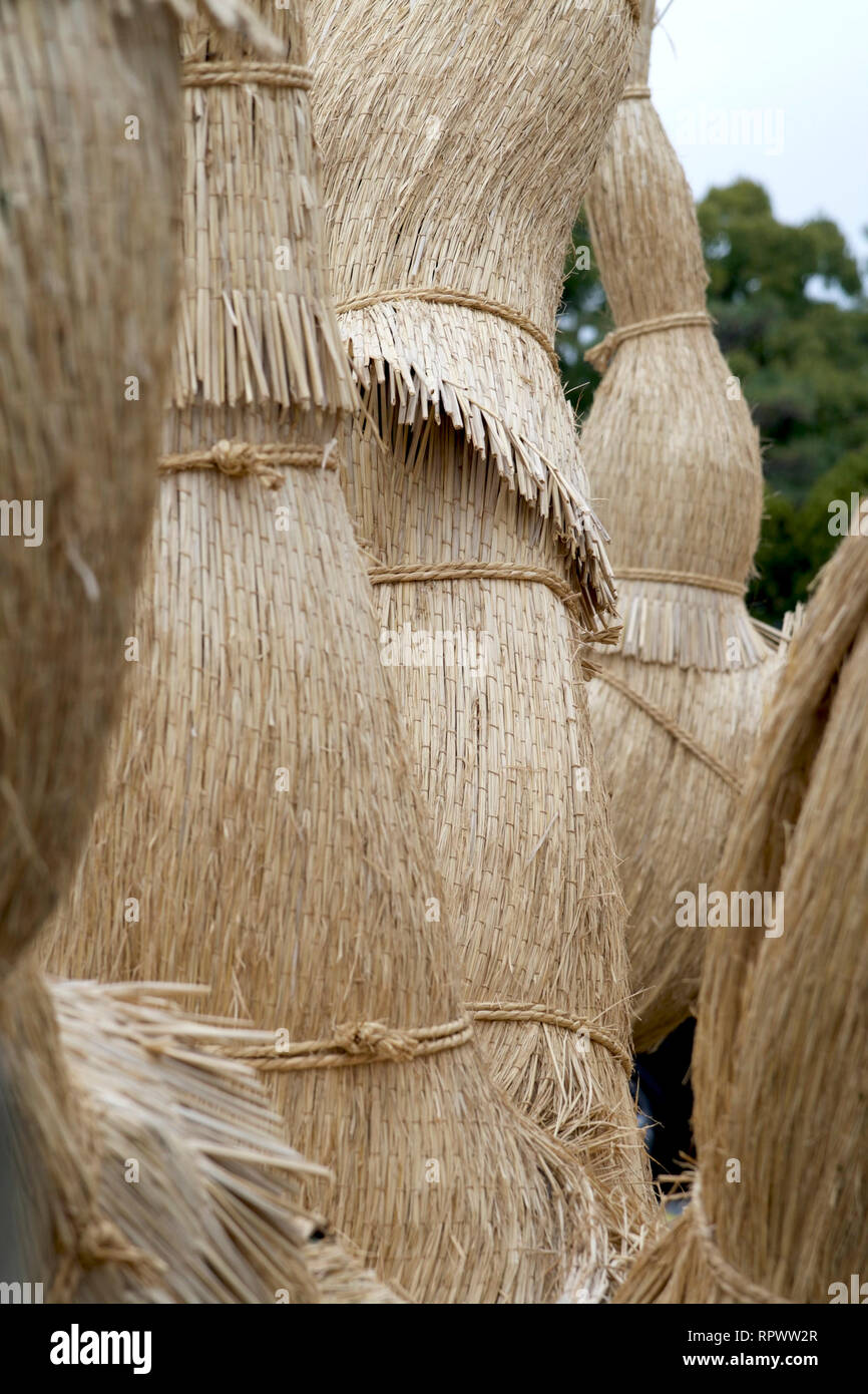 Straw insects hi-res stock photography and images - Alamy