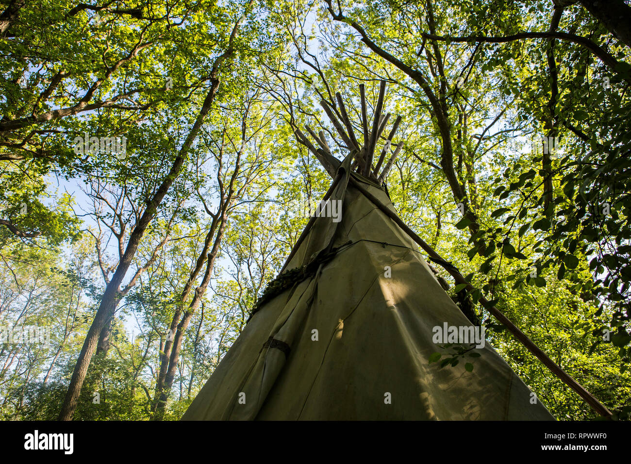 Tipi poles hi-res stock photography and images - Alamy