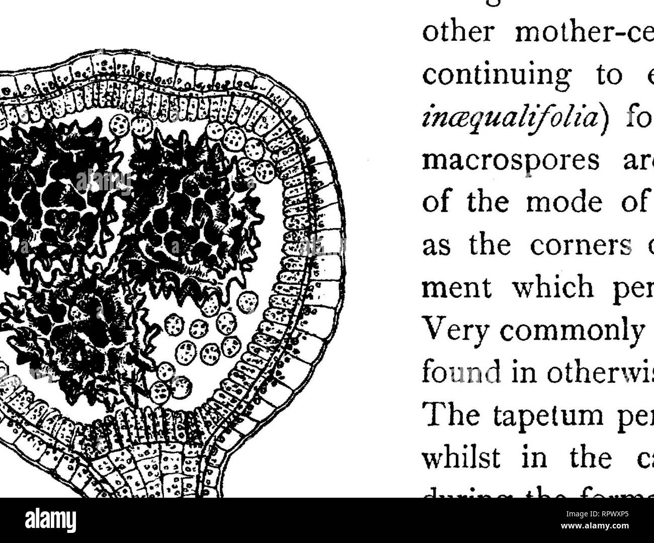 Longitudinal walls Black and White Stock Photos & Images - Alamy