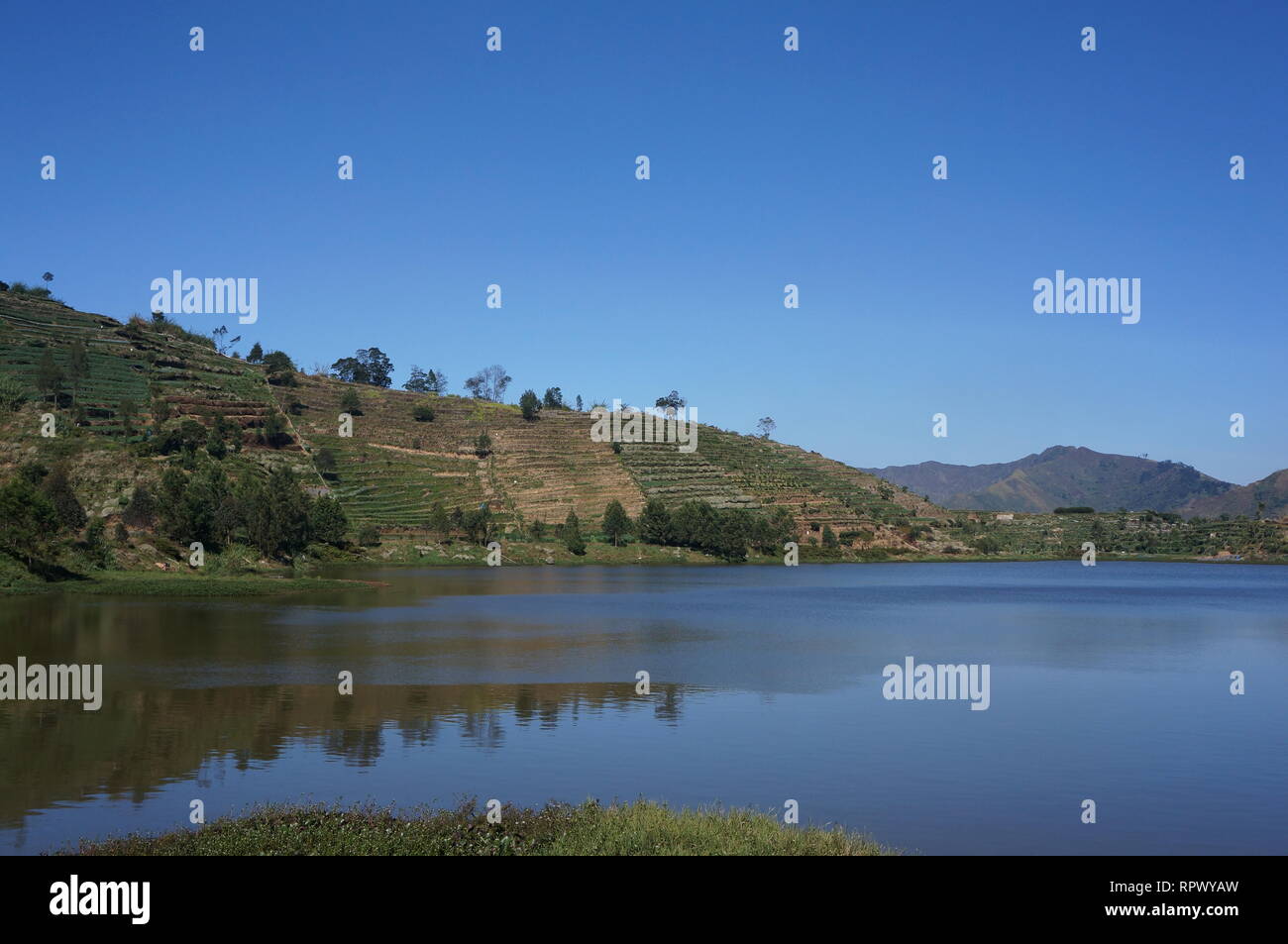 Telaga Cebong Dieng, Central Java Stock Photo - Alamy