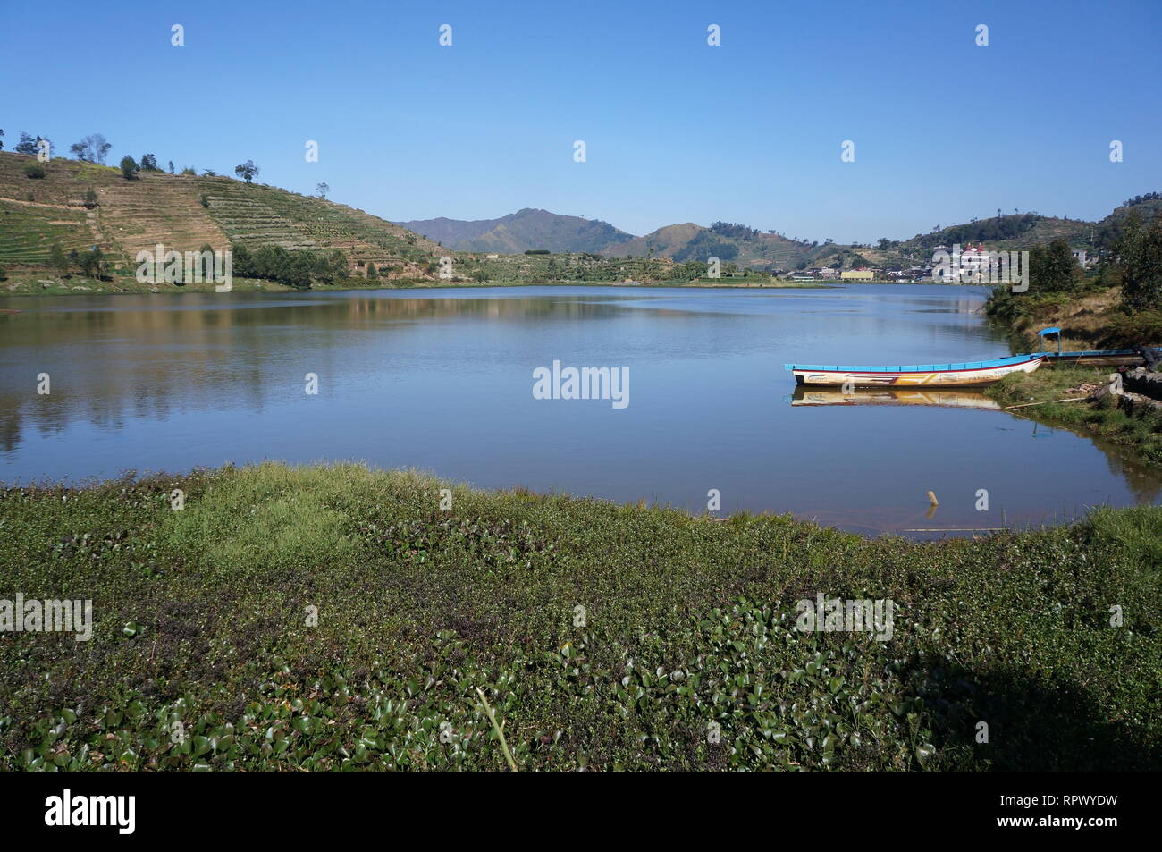 Telaga Cebong Dieng, Central Java Stock Photo - Alamy